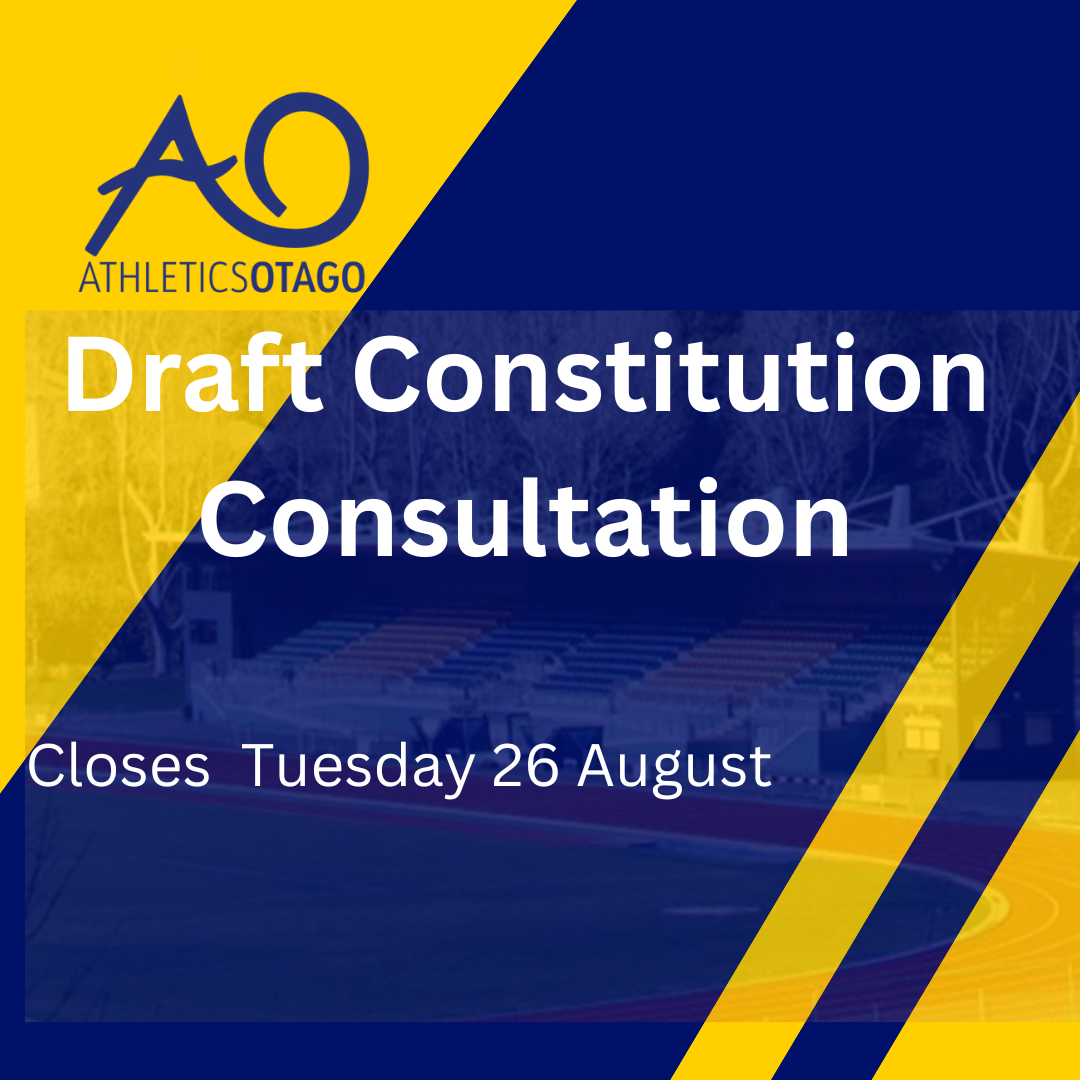 Draft Constitution