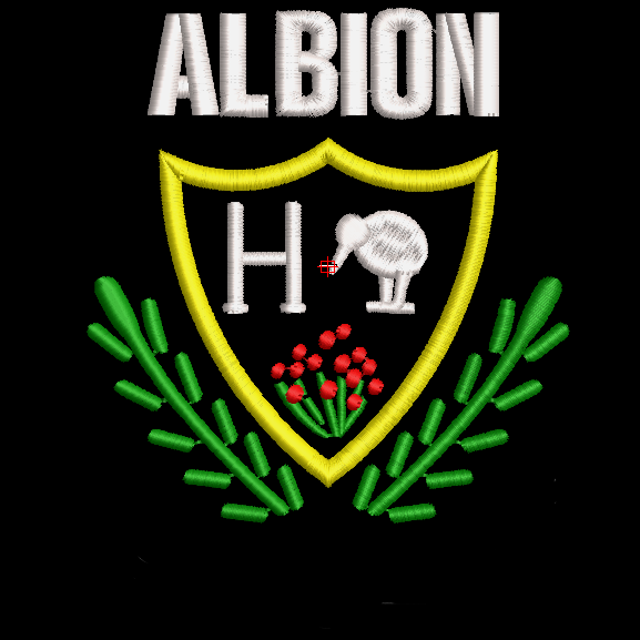 Albion Netball Club - Home