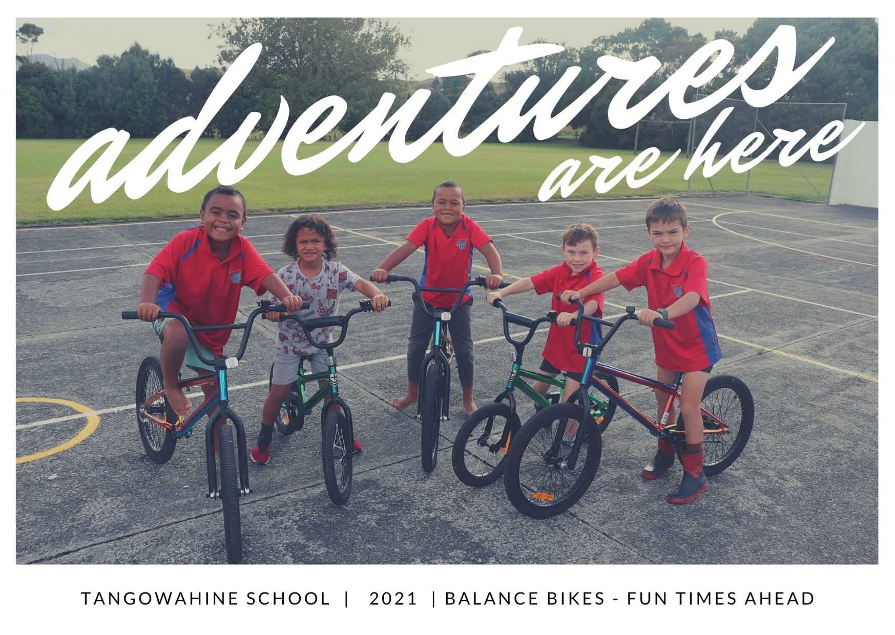 Tū Manawa Active Aotearoa Support Increased Opportunities at ...