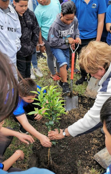 Raumanga Community Garden Project Update