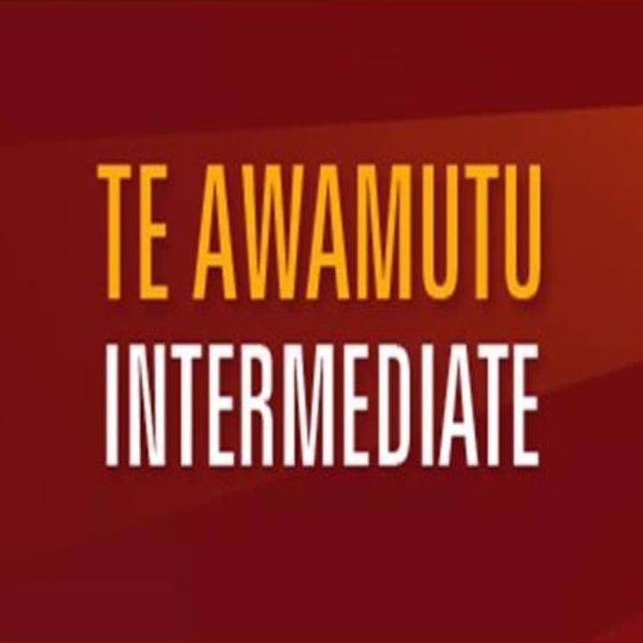 Te Awamutu Intermediate - Home