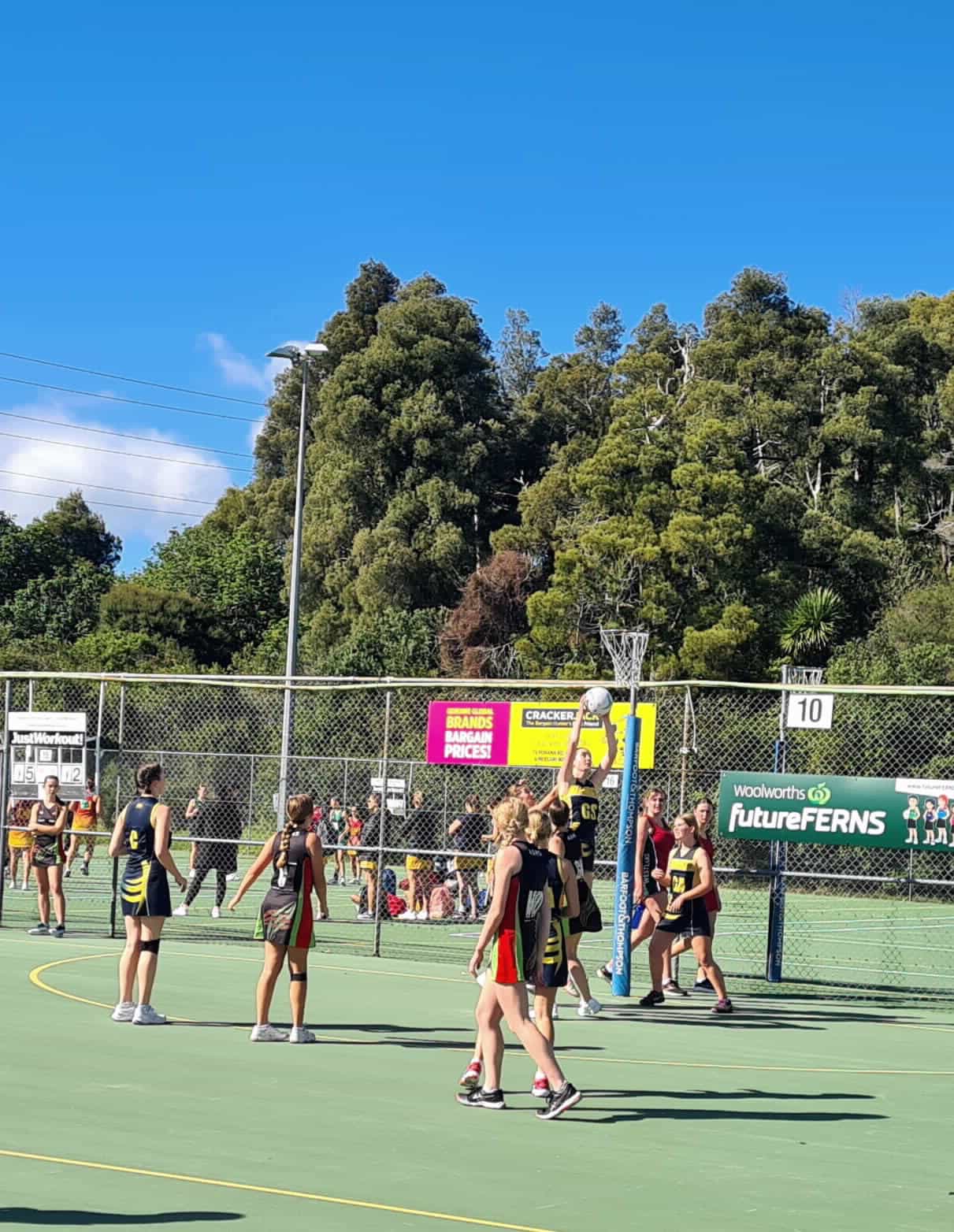 2024: Netball Newsletter #13