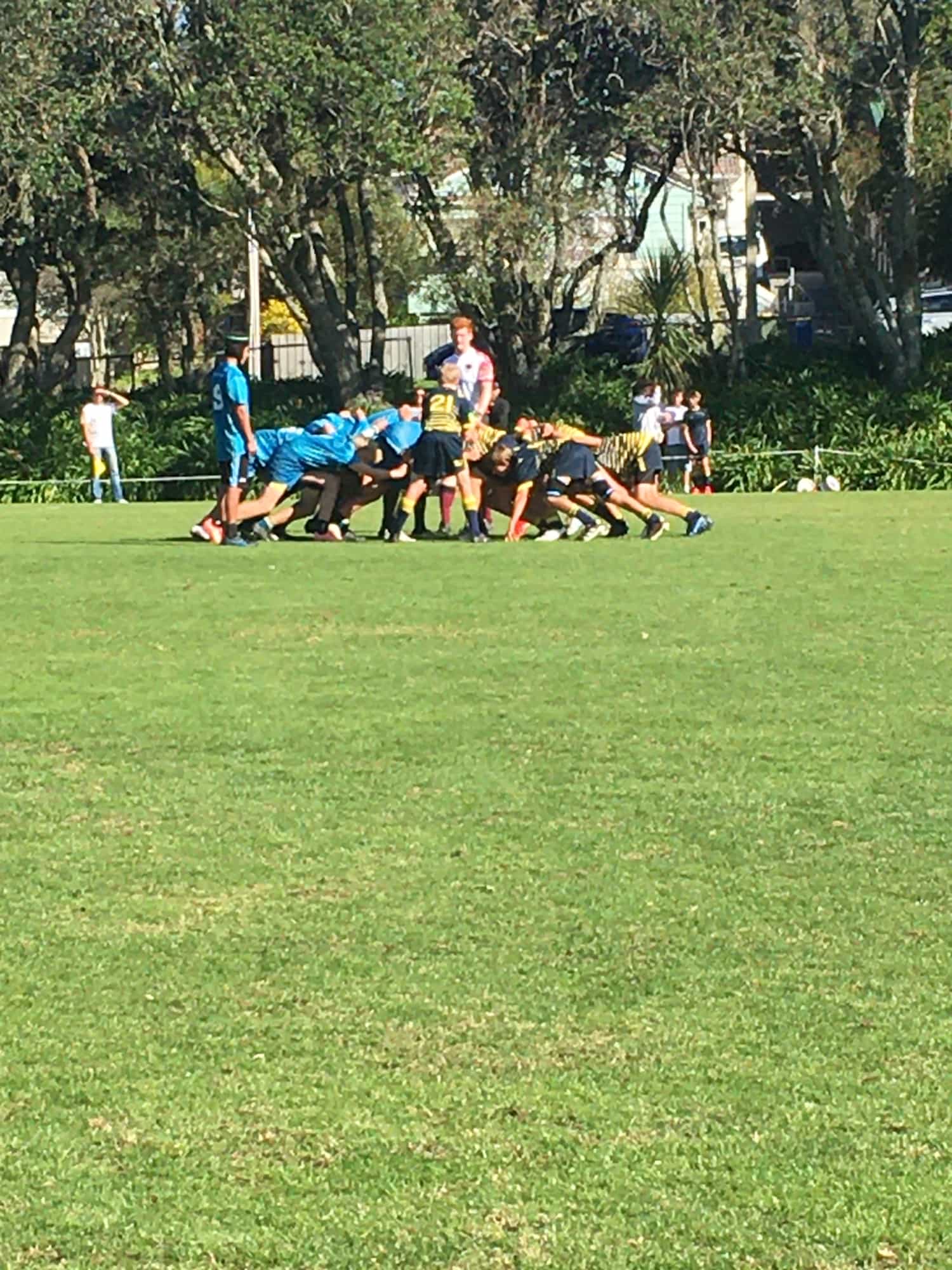 U15s Power Past Long Bay with Dominant Home Performance