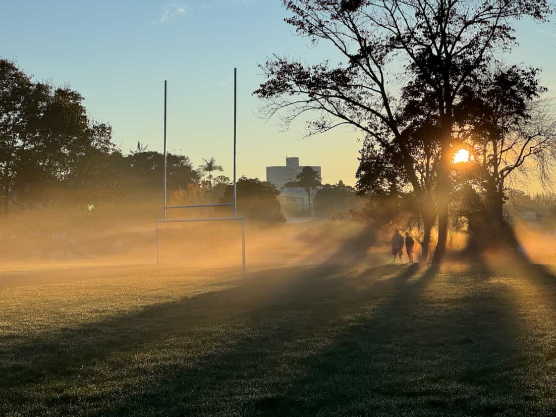 Newsletter - 20 June 2025