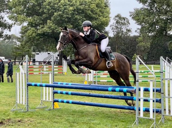 Equestrian - EQUESTRIAN