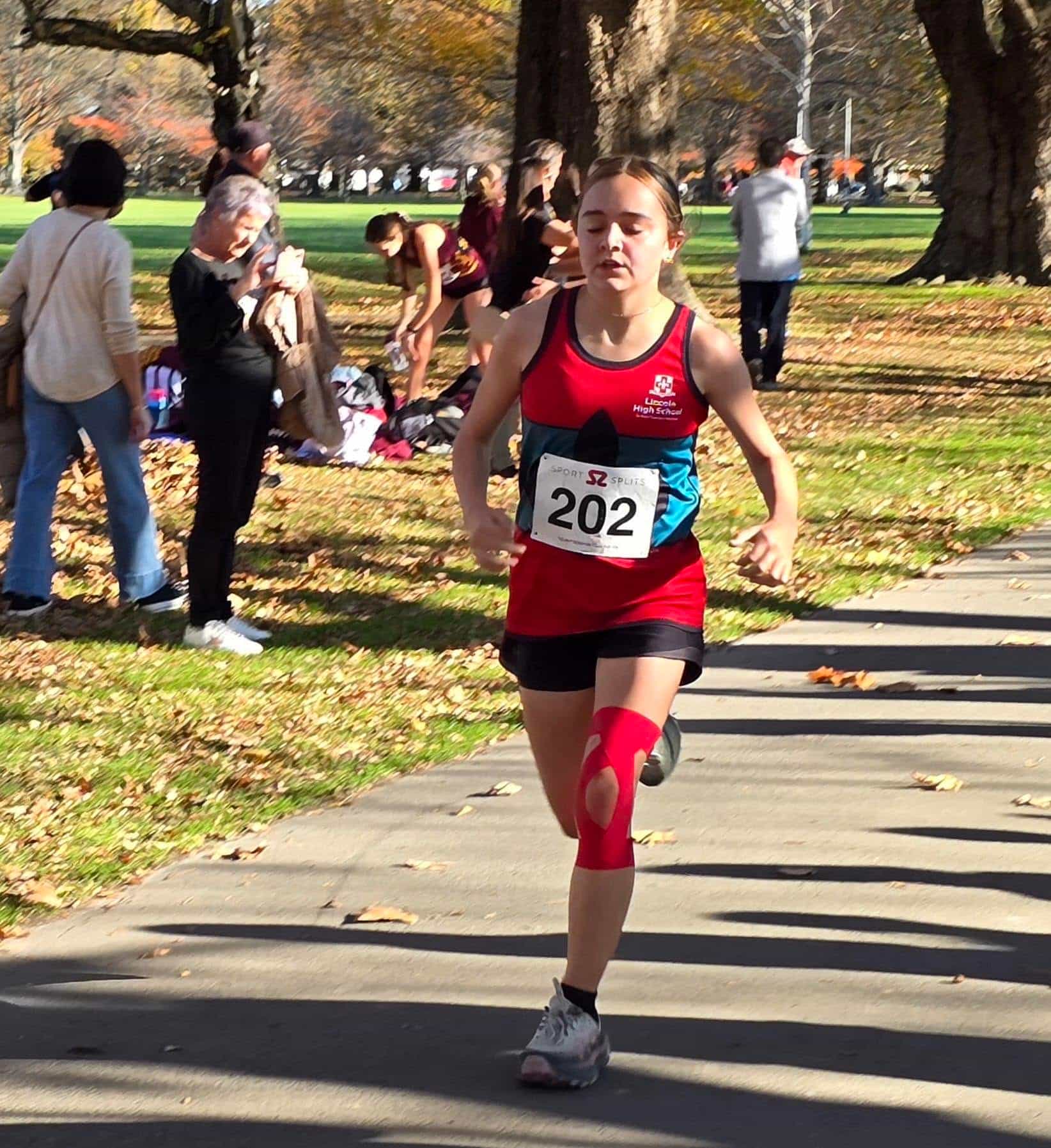 Cross Country Success