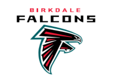 Birkdale Falcons Softball Club Inc. - HOME