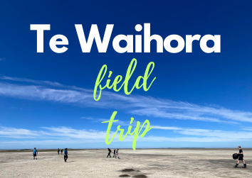 Conservation trip to Te Waihora/Lake Ellesmere
