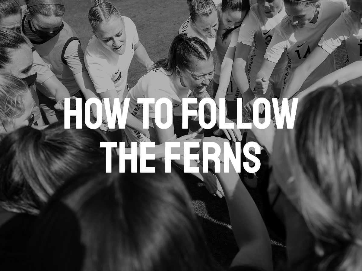 How to follow the Ferns in LA