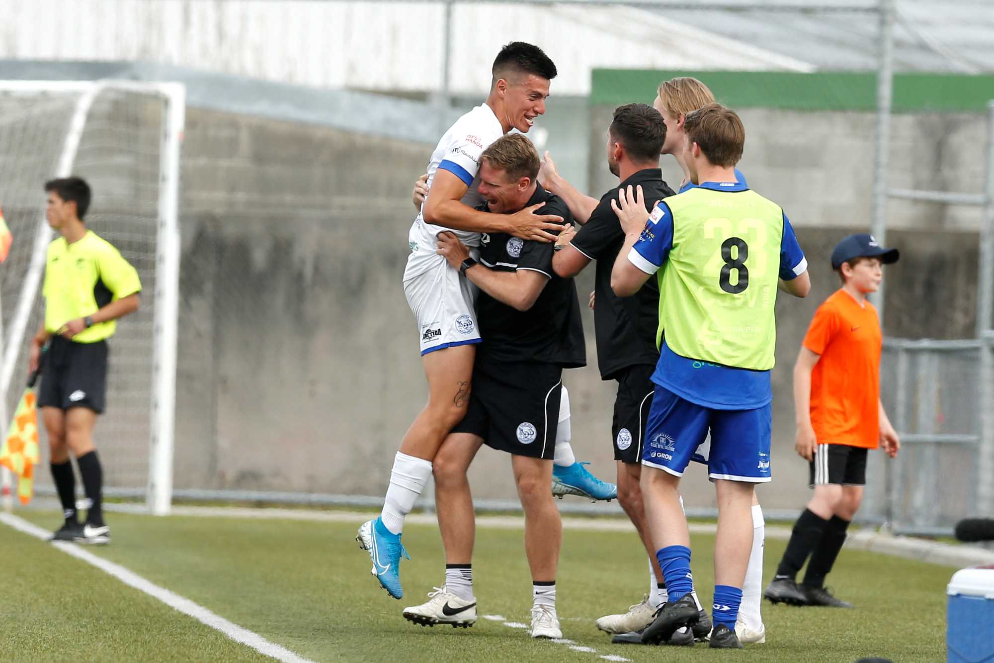 Hamilton Wanderers vs Wellington Phoenix Reserves – ISPS Handa Men’s ...