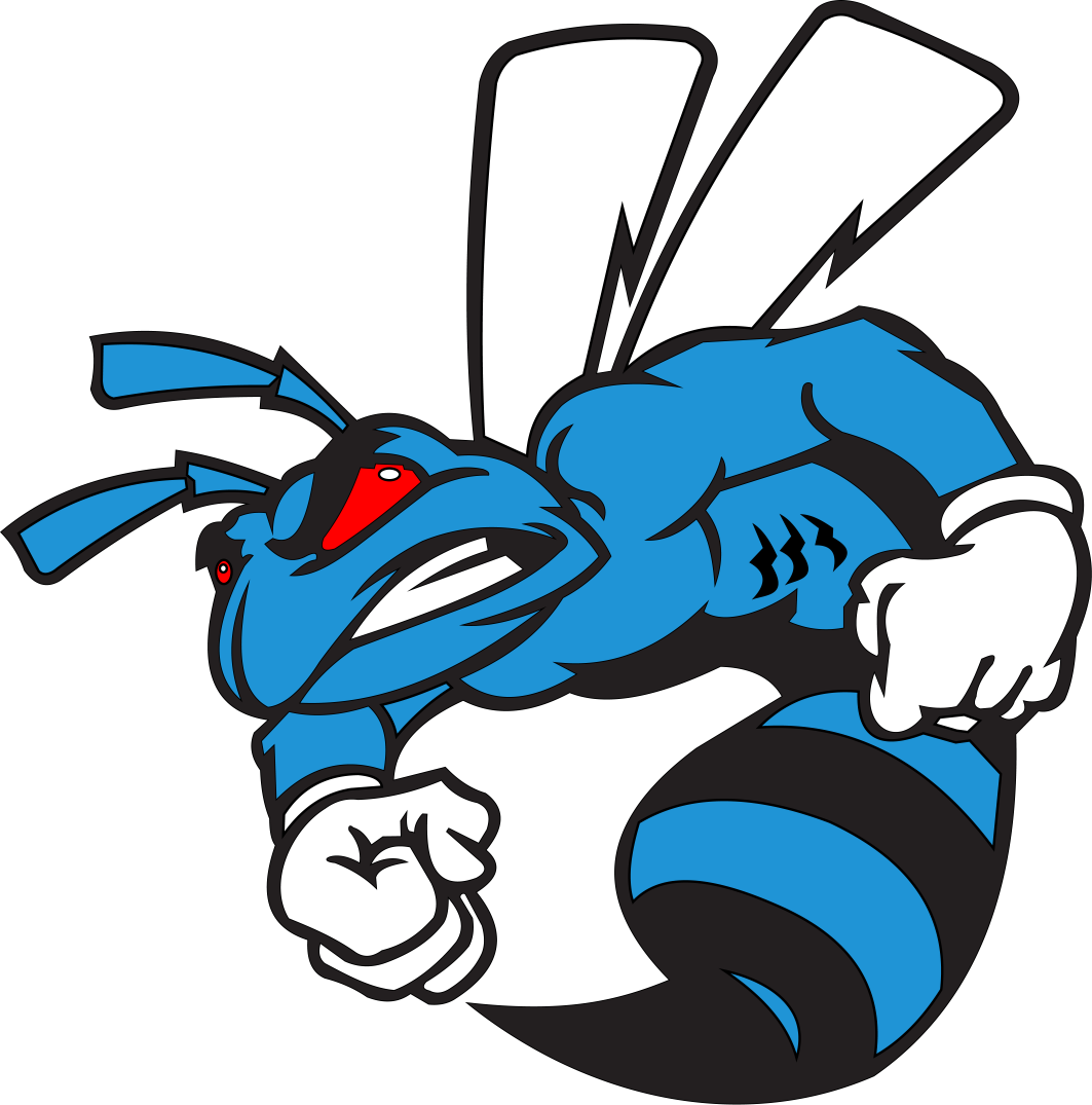 Hutt Valley Hornets Baseball Club - Gallery
