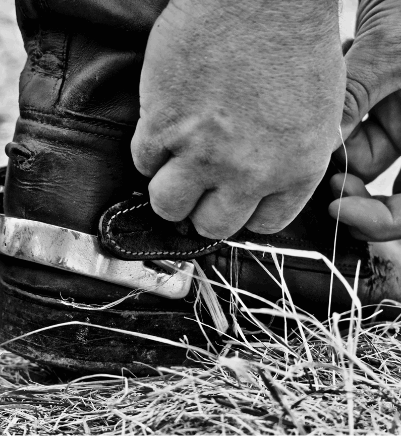 Update to the NZPA Constitution