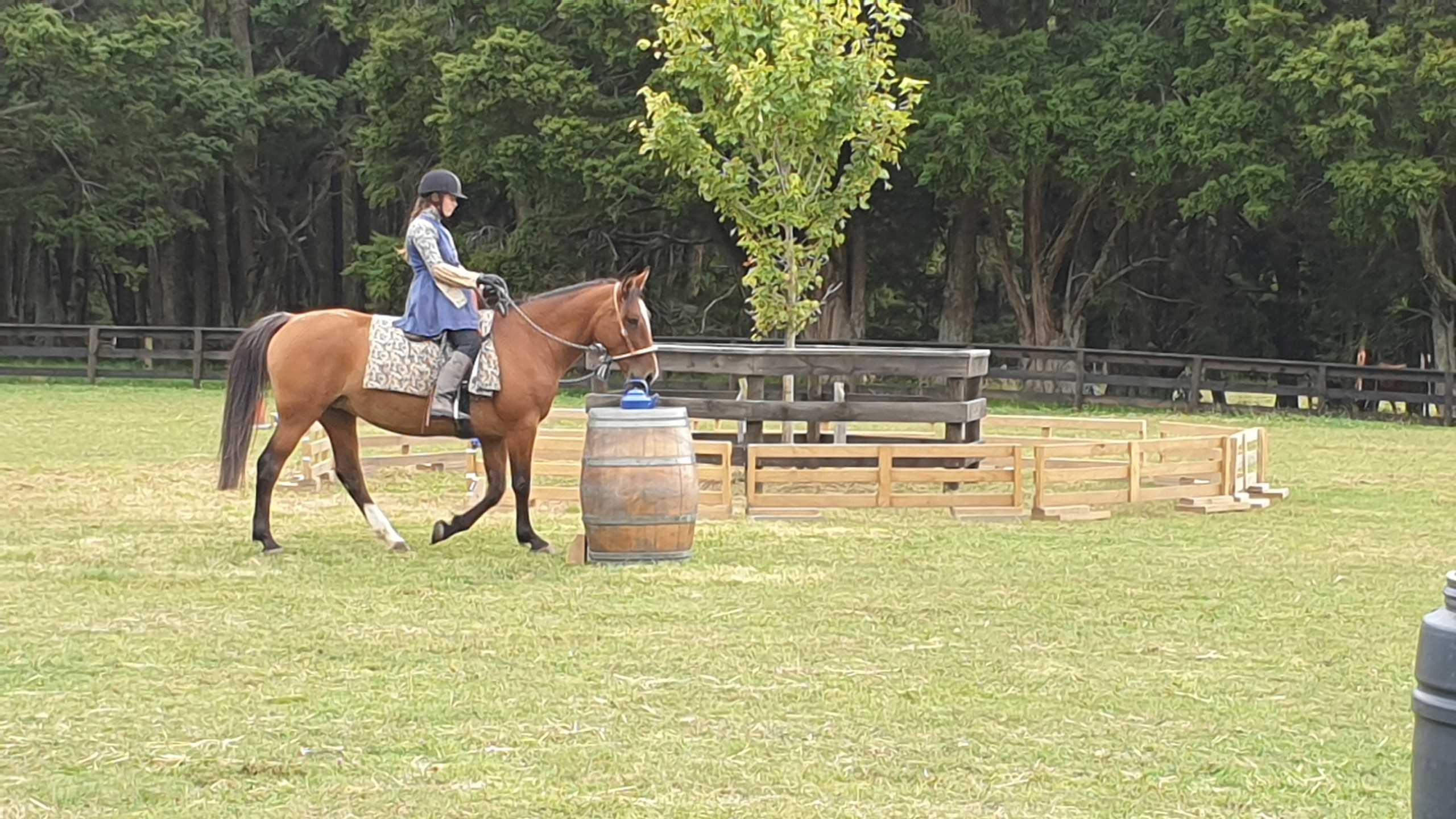 Taranaki Working Equitation Incorporated - Home