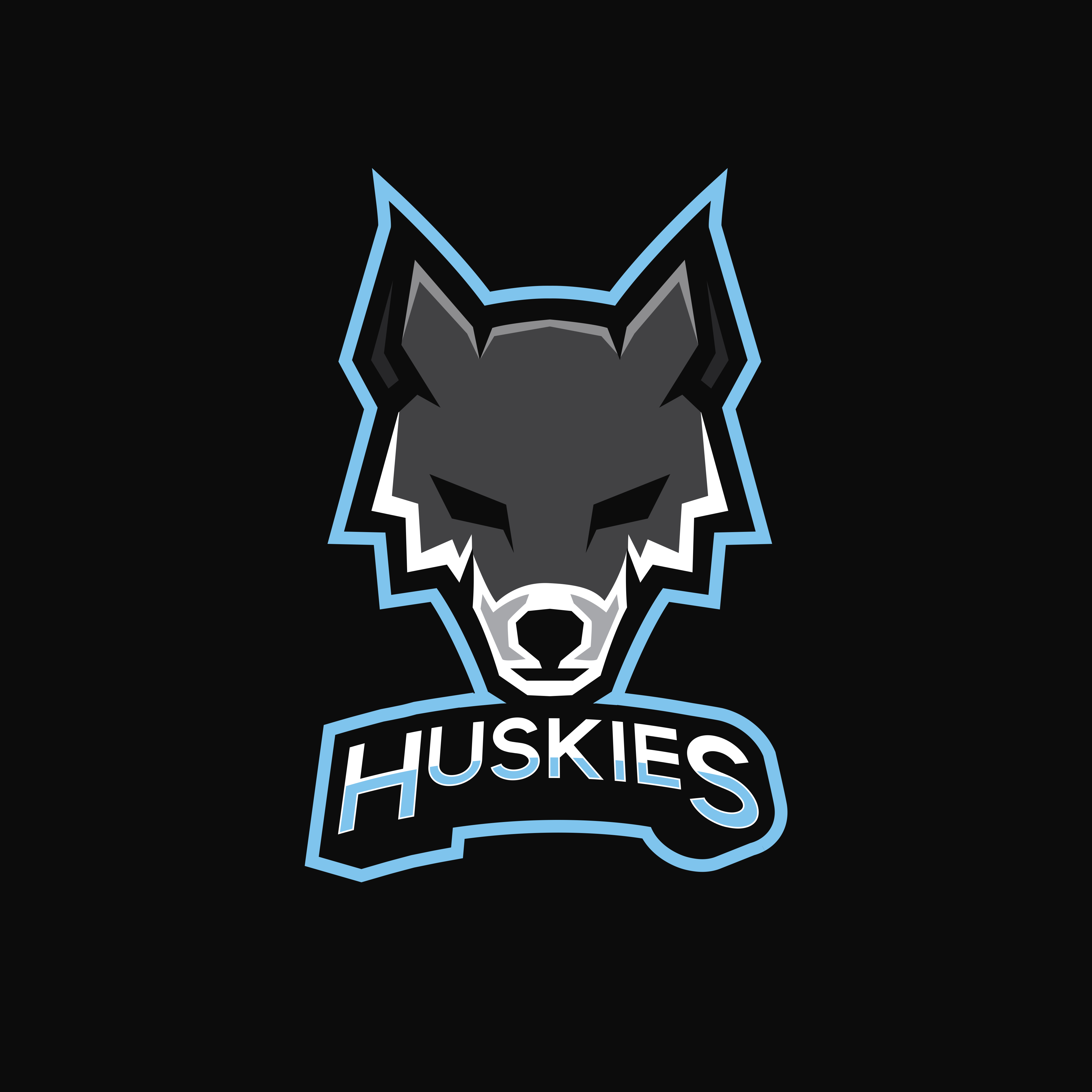 Huskies Community Sports Club-Huskies Community Sports Club