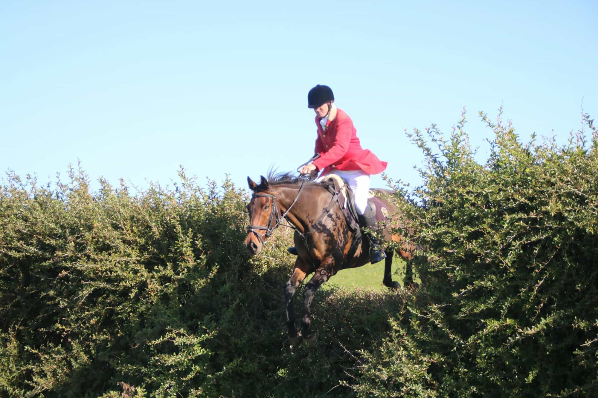 Sparring - Hunt Jumps