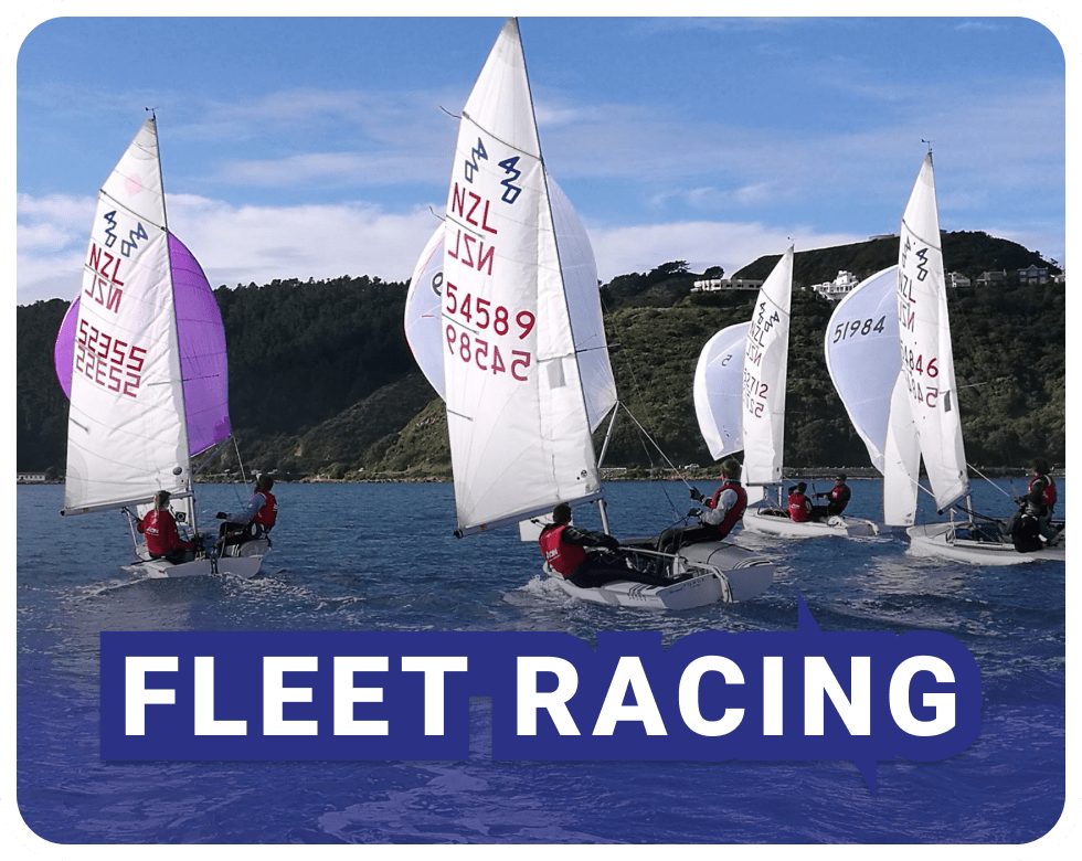 TRIYA Wellington Sailing School - Home