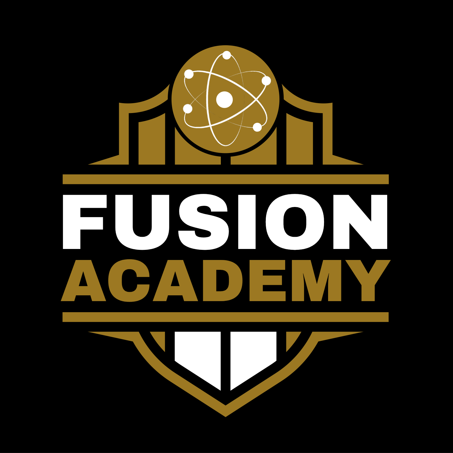 Fusion Academy - TRAINING PROGRAMME