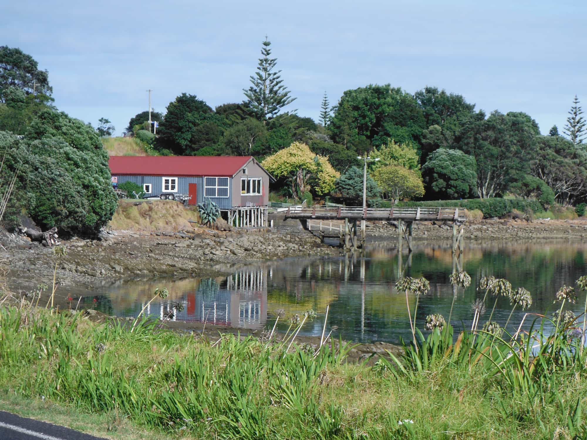 Taniwha Tail 200 and 300 Jan 27 2024