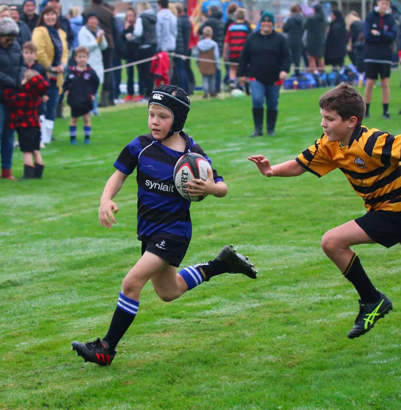 Help Urgently Needed