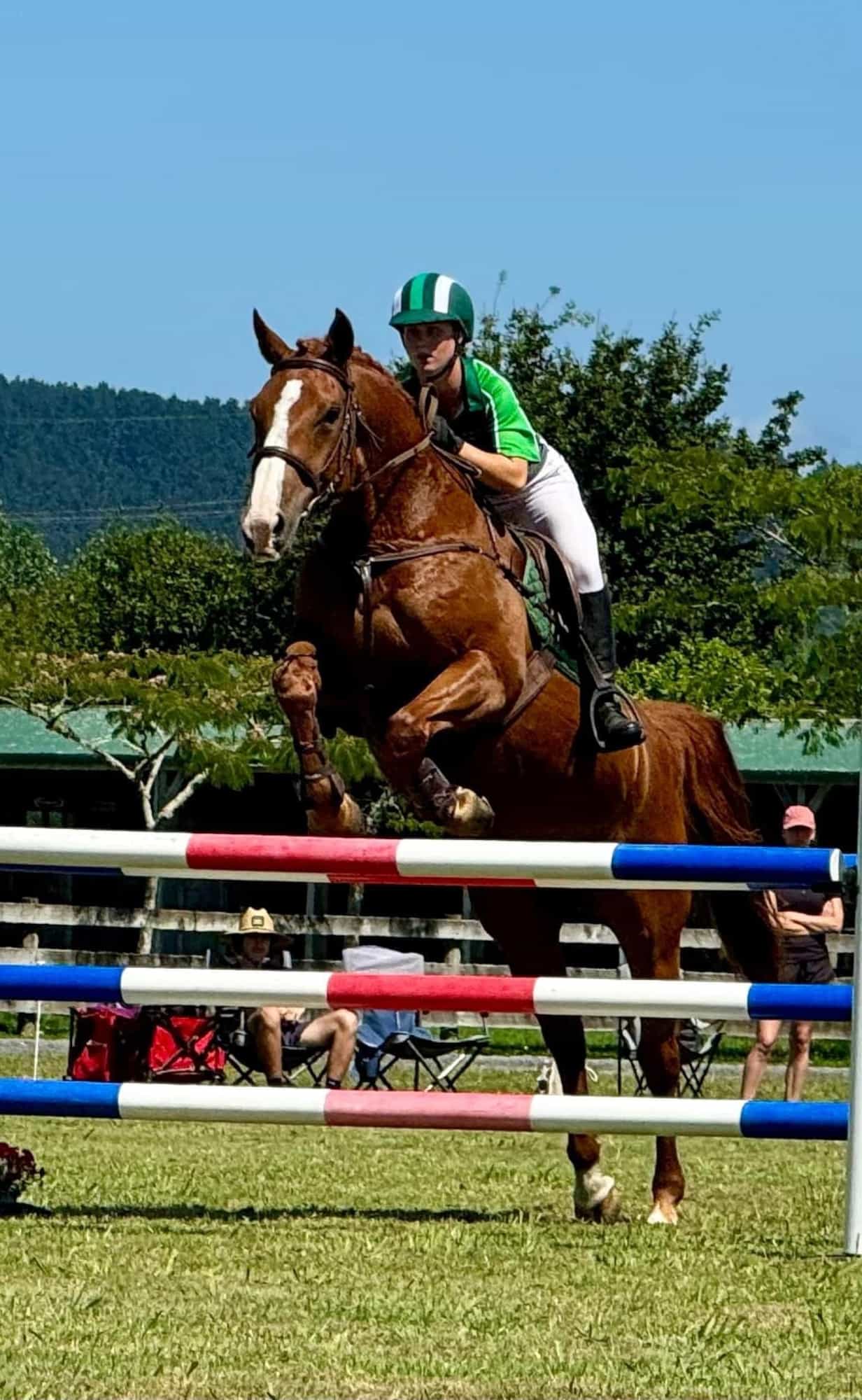 Update to ESNZ Jumping Rules in regard to Safety Cups from the 1st ...