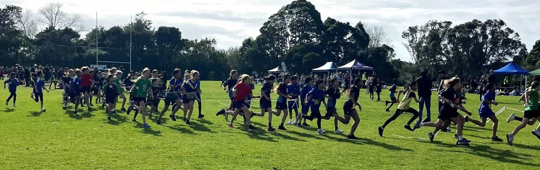 Kids hit their stride in cross country