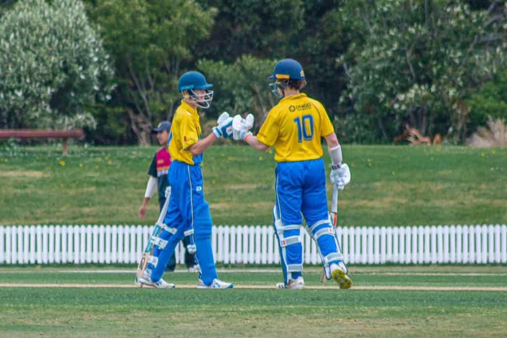 Bitter sweet cricket selection for Southland's Nick Brown