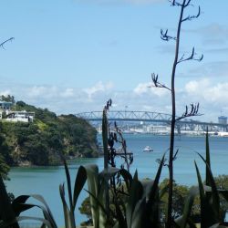 TRIP SNIP: Little Shoal Bay – Kauri Pt – Chatswood, Tuesday 8 March 2022