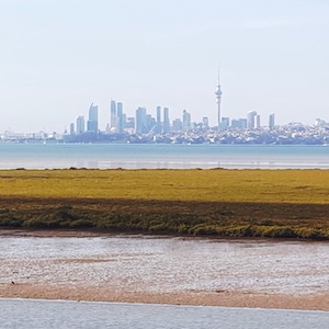 TRIP SNIP: West Harbour Explorer, 4 June 2024