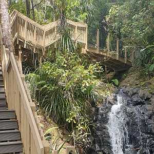 TRIP SNIP: Cutty Grass & Fairy Falls, Tuesday 5 November 2024