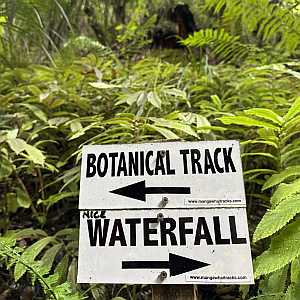 TRIP SNIP: Mangawhai – Tanekaha & Waterfall Tracks, Thursday 4 ...