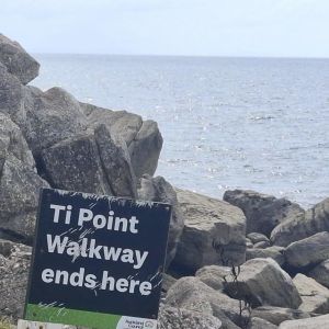 TRIP SNIP (LEGS): Ti Point & Mathesons, Tuesday 10 February 2026