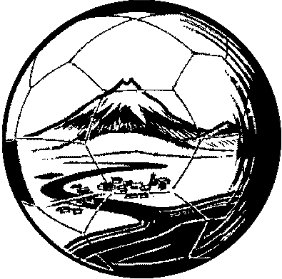 Waitara Soccer Club - Home