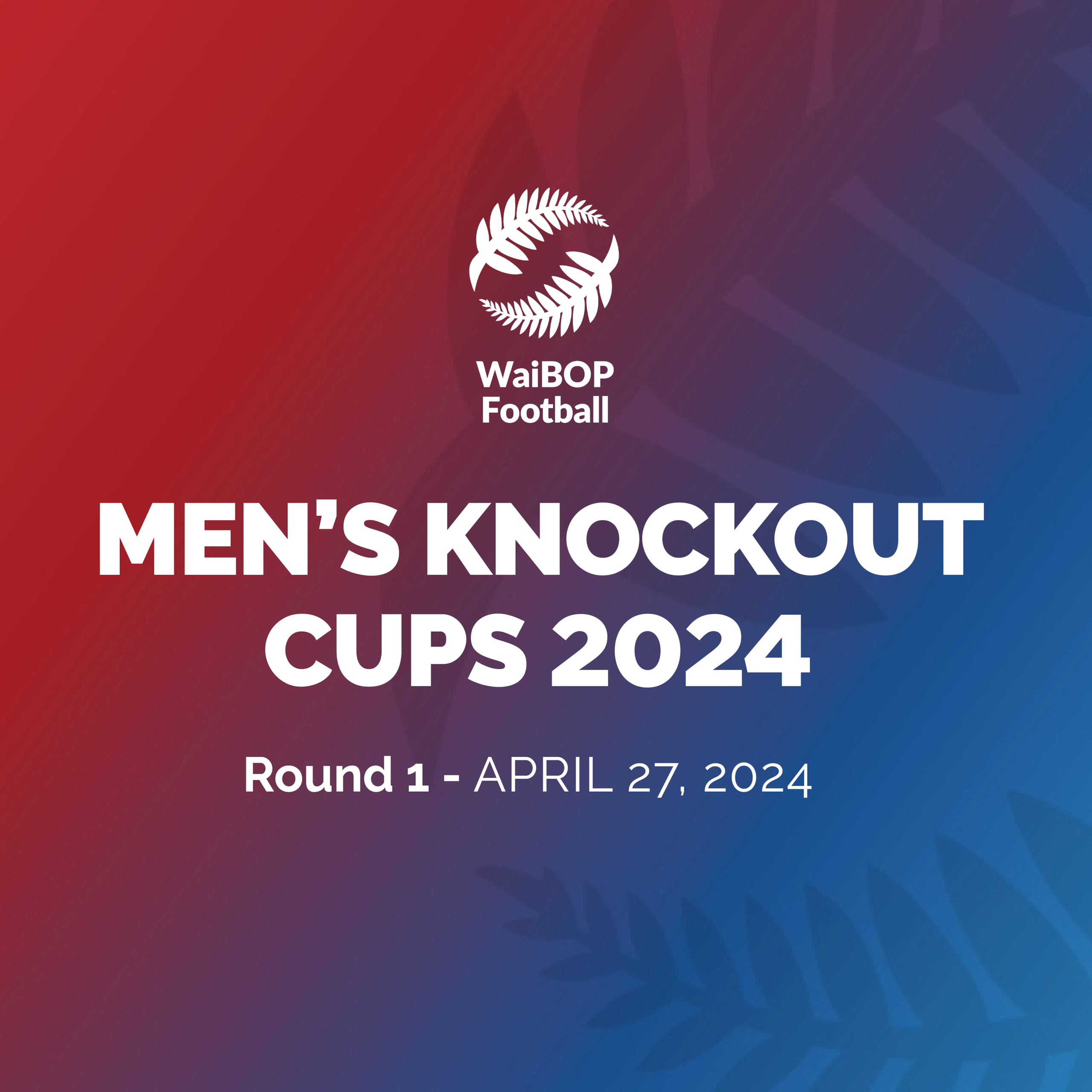 WaiBOP Men's Knockout Cups