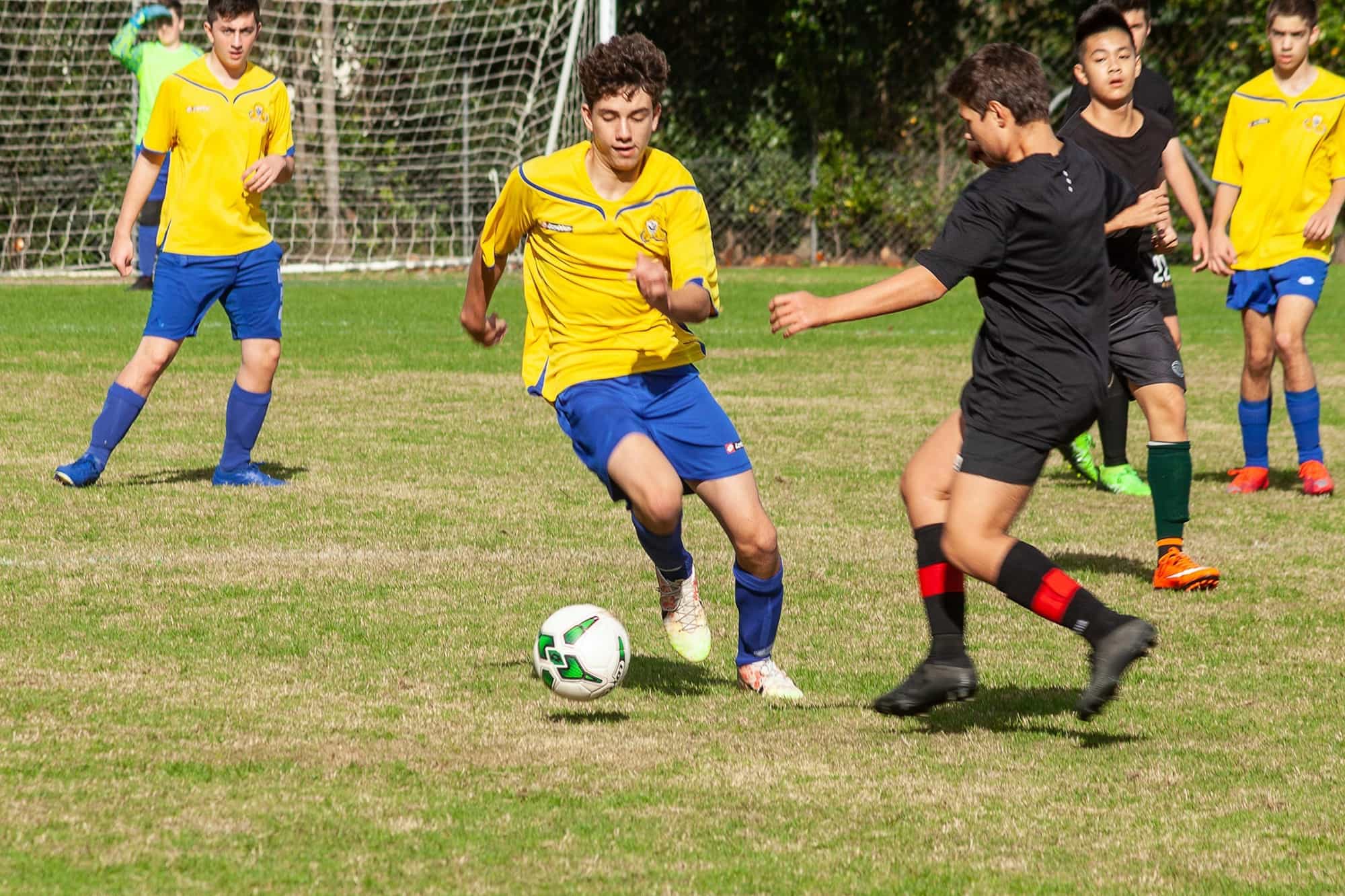 Youth and Junior Development Programme Term 2