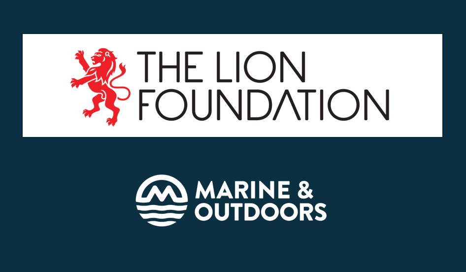 Lion Foundation Logo Detroit Lions Announce “Little Lions” Youth