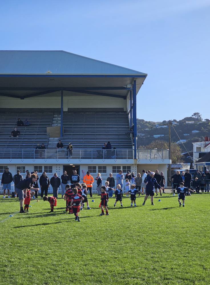 Village update - Save Petone's Grandstand!
