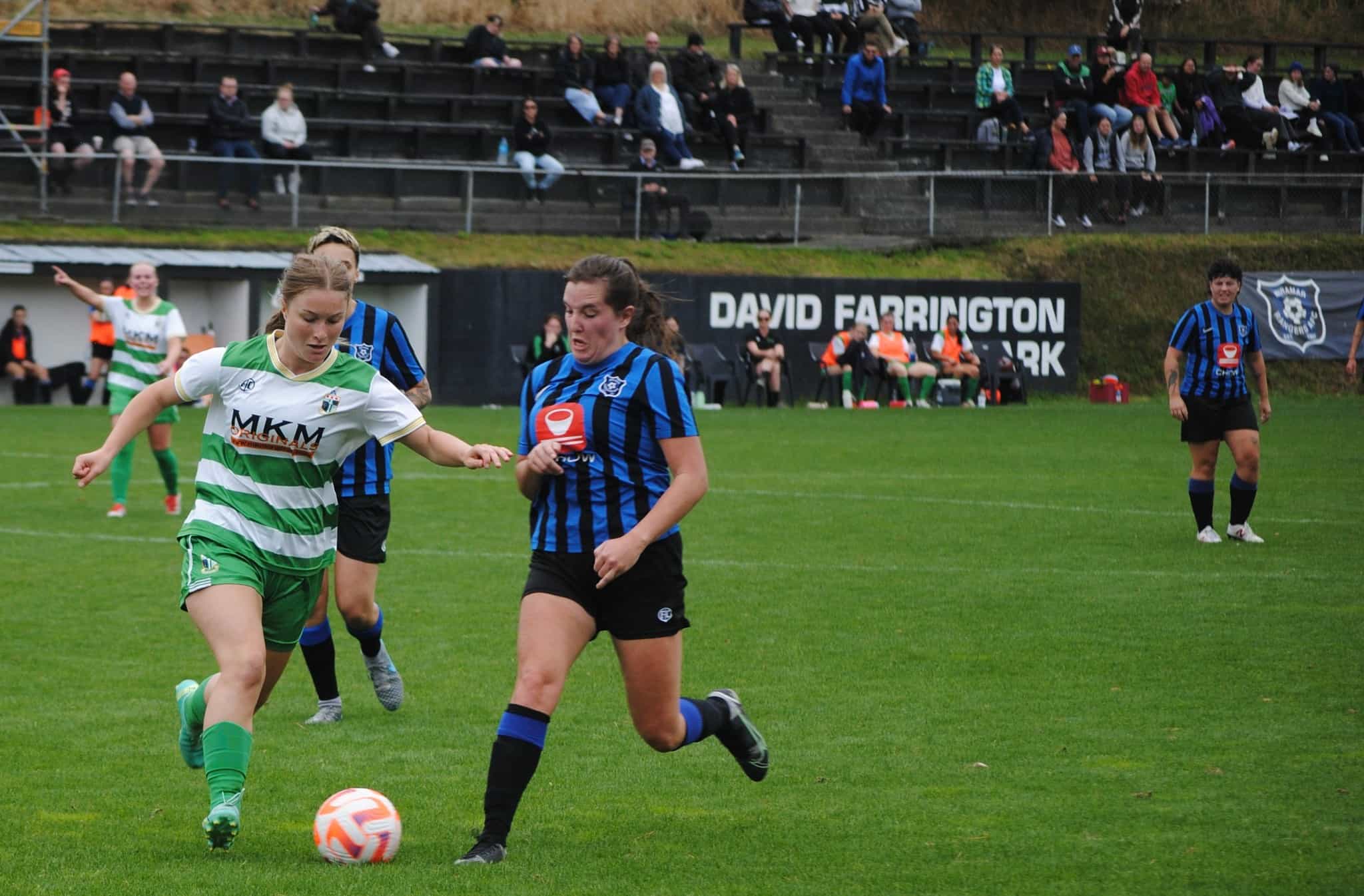 Palmerston North Marist Football Club - Home