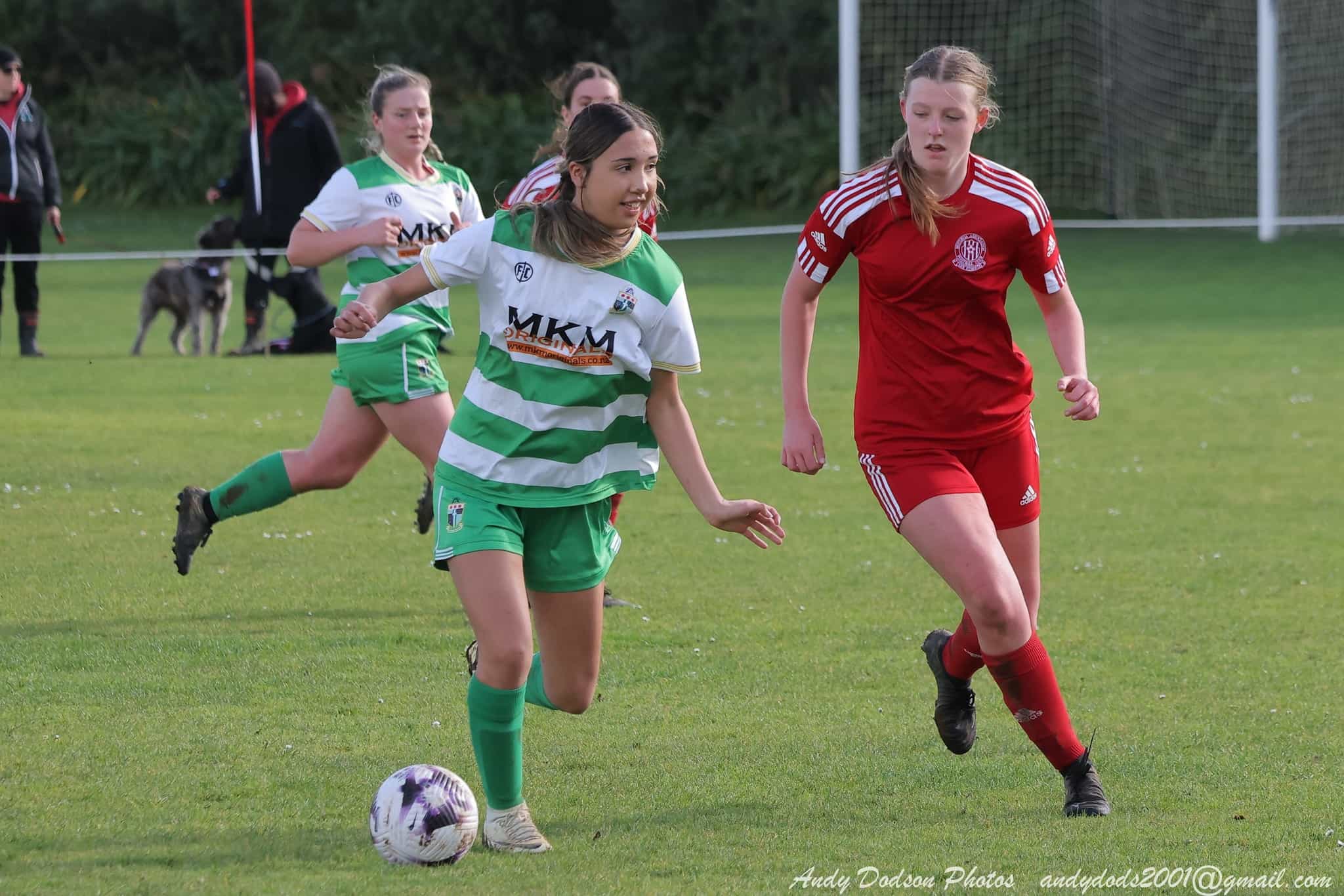 Palmerston North Marist Football Club - Home